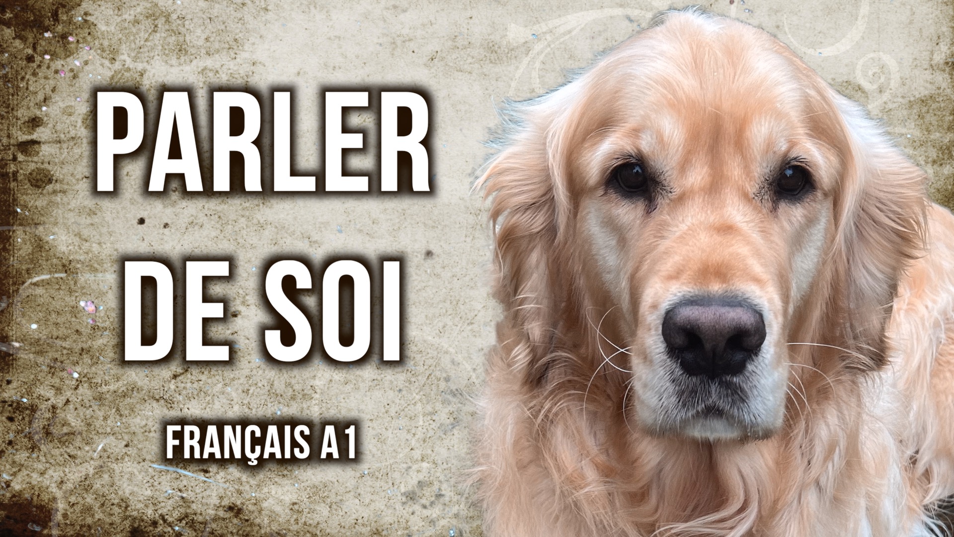 CO – Parler de soi – A1 – Ressource ton FLE